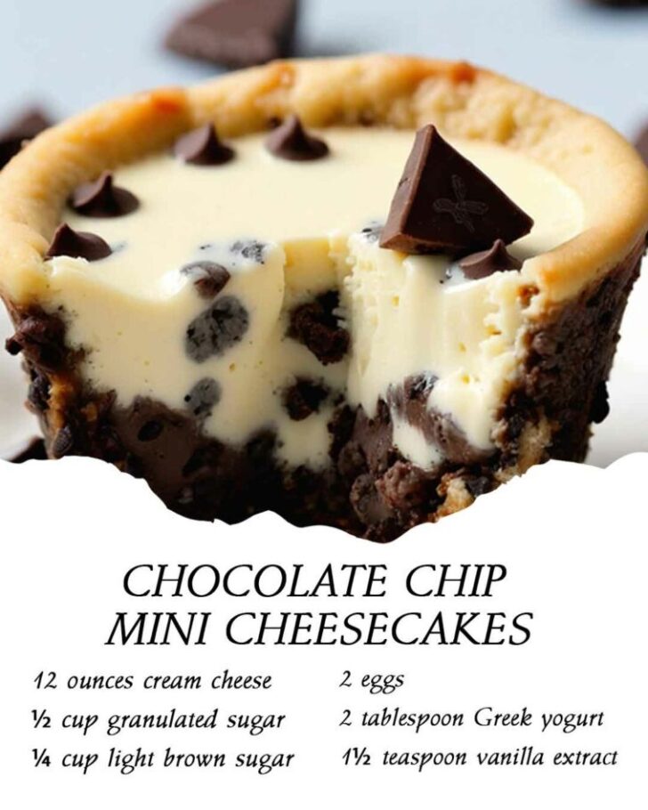 Chocolate Chip Mini Cheesecakes – Phitip Recipes